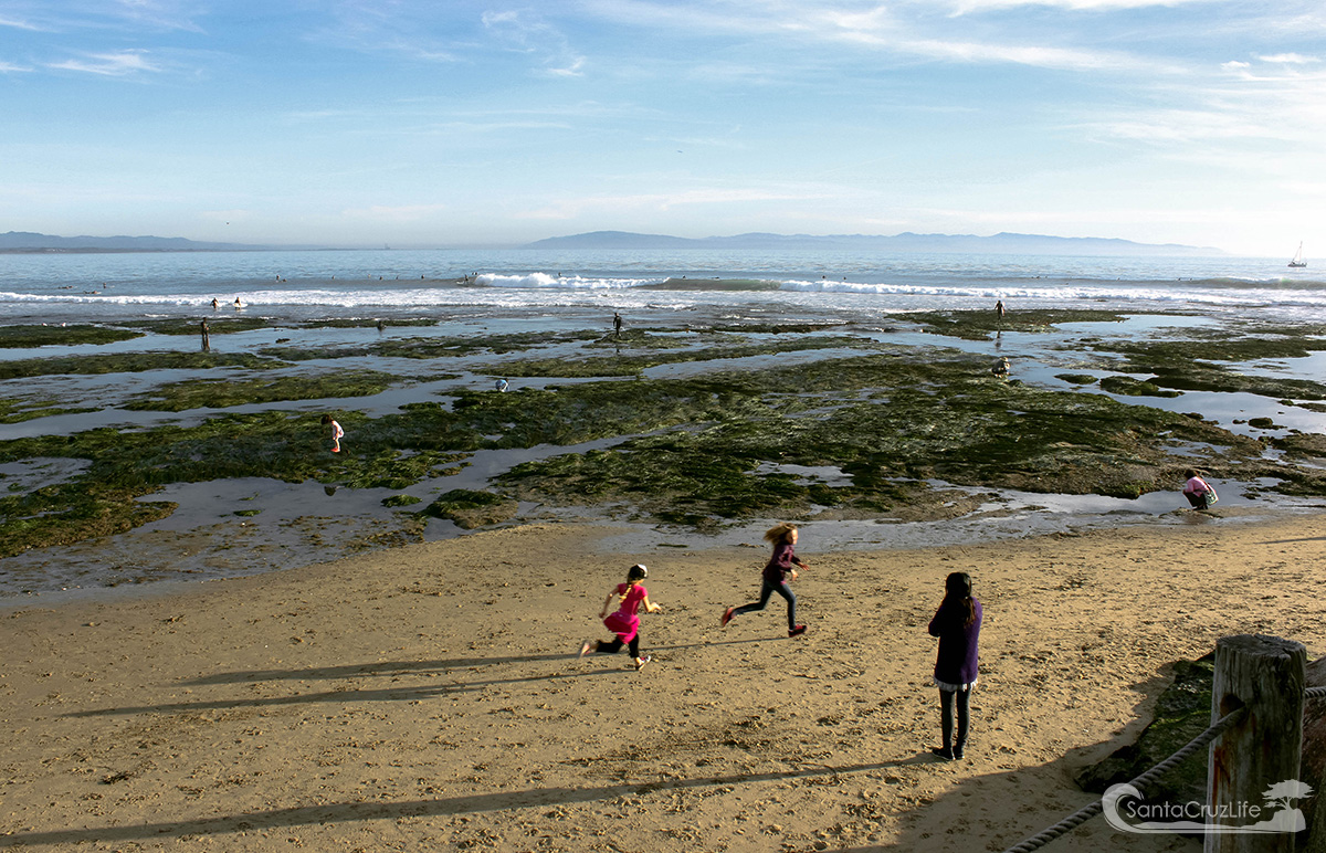 Pleasure Point Tide Pools Revealed during King Tides