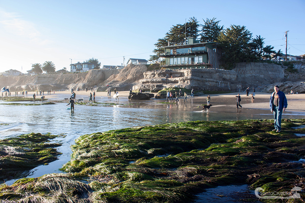 Pleasure Point Tide Pools Revealed during King Tides