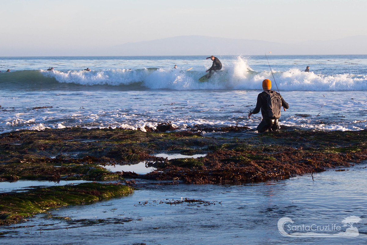 Pleasure Point Tide Pools Revealed during King Tides