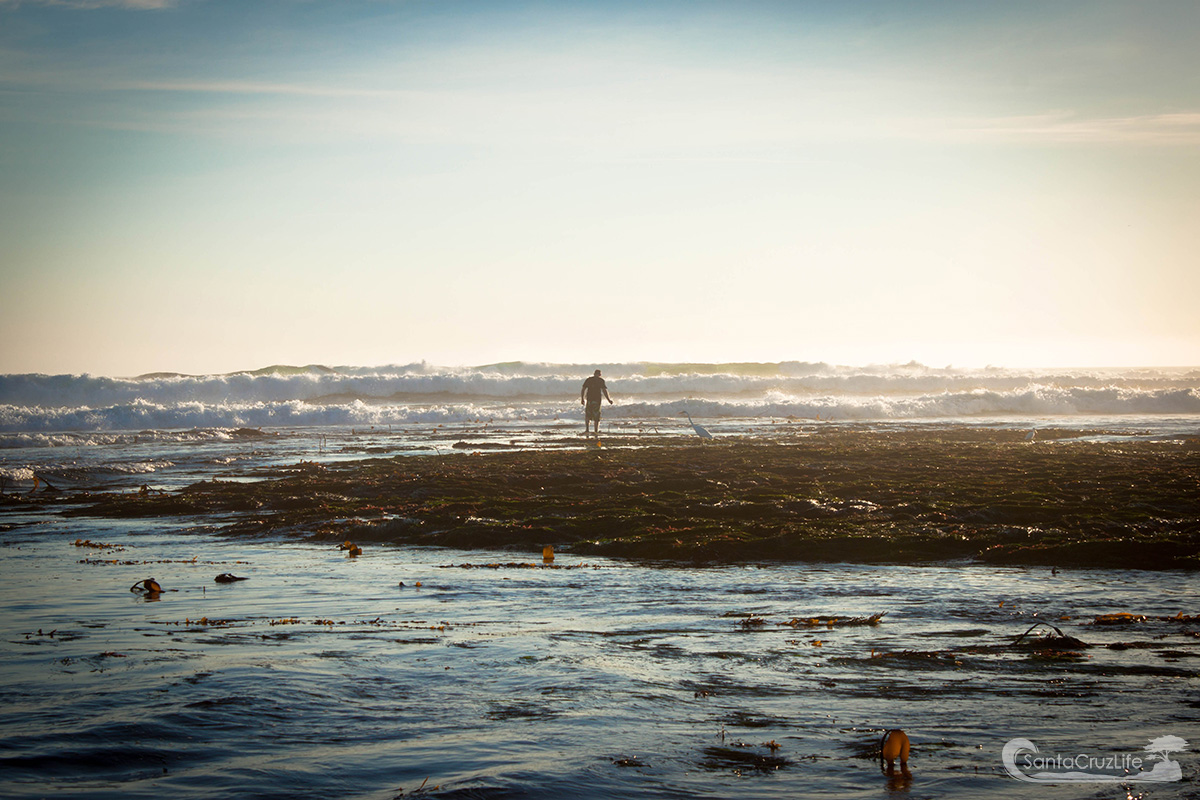 Pleasure Point Tide Pools Revealed during King Tides